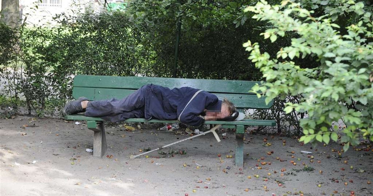 Menele rządzą na wrocławskich podwórkach!