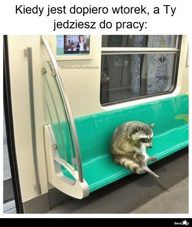 Dopiero wtorek, a już czekasz na weekend? Te memy poprawią ci humor ...