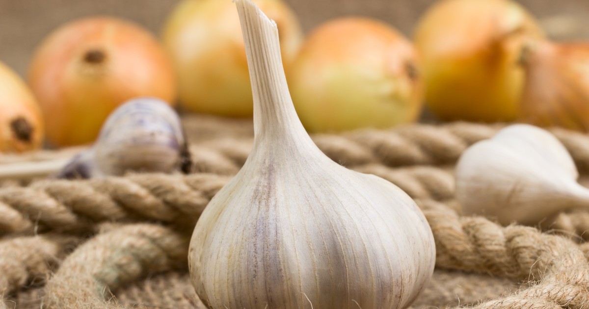 Cebula i czosnek mają niesamowite właściwości