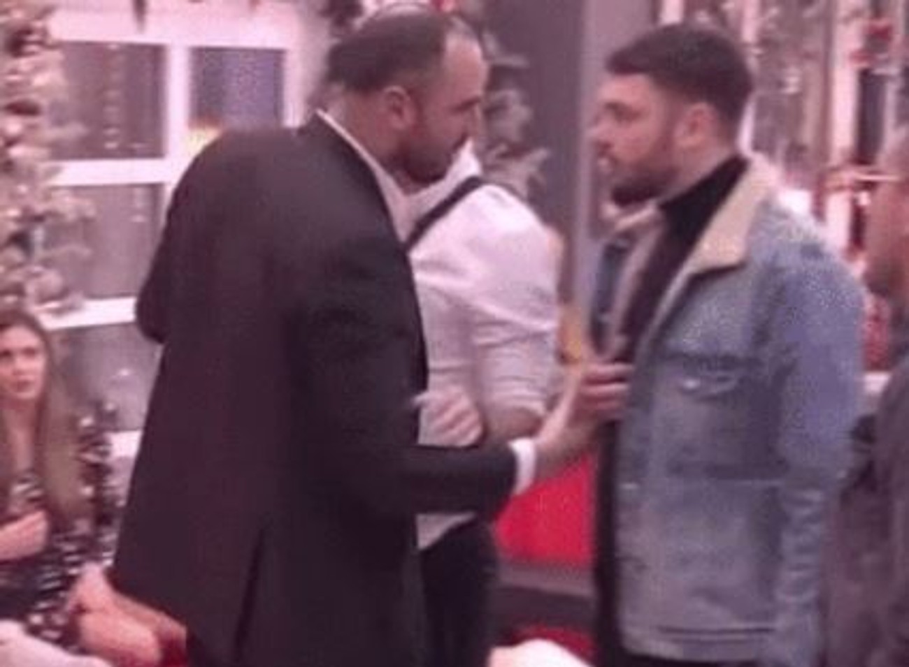toma panic alen hadrovic zadruga 4 - Blic
