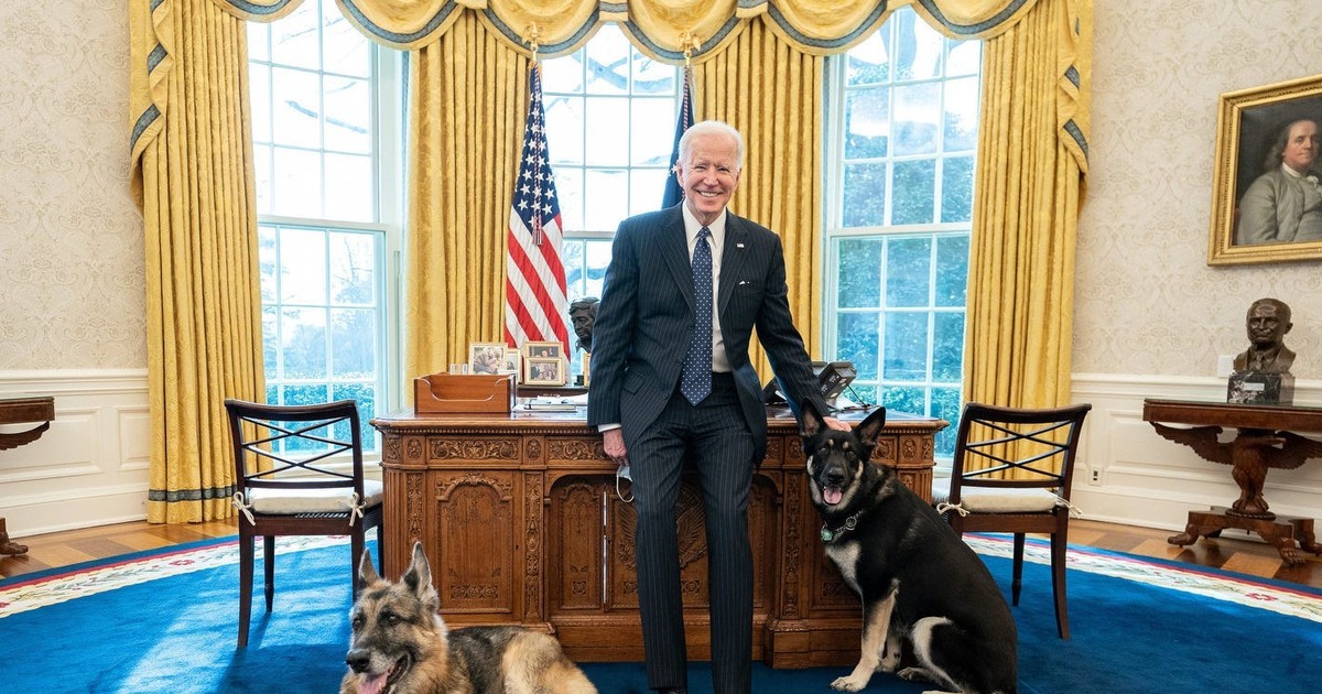 2 of Biden's dogs have been involved in biting incidents. Here's a ...