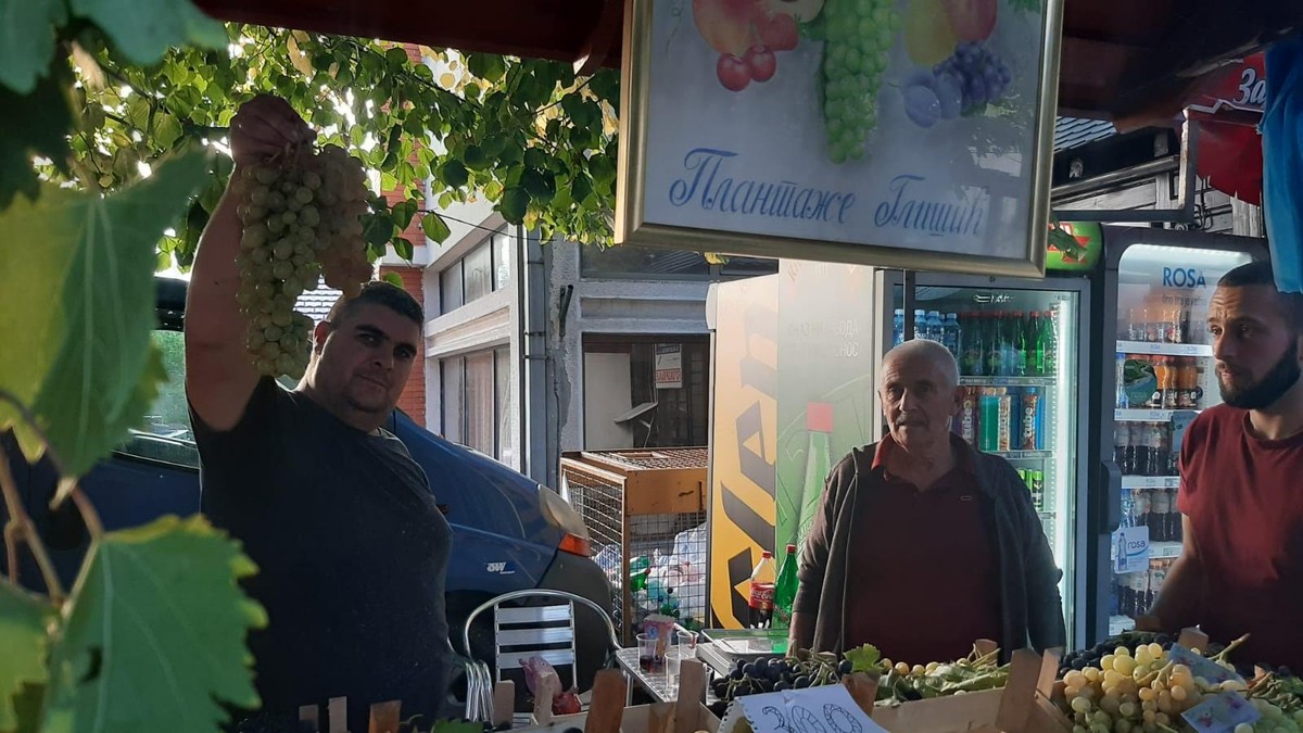 GLIŠIĆIMA RODIO GROZD OD ČETIRI KILOGRAMA Porodica koja kod Oplenca ...