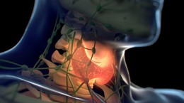 Anty-TPO - wskazania, normy, interpretacja. Czym jest Anty-TPO ...