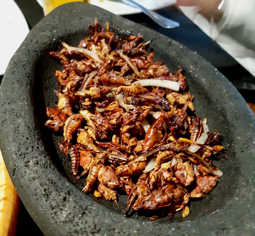 Owady, robaki, larwy do jedzenia - przyszłość gastronomii, kuchnia ...