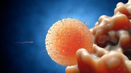 Jakie są objawy owulacji? Symptomy, monitorowanie i zaburzenia owulacji