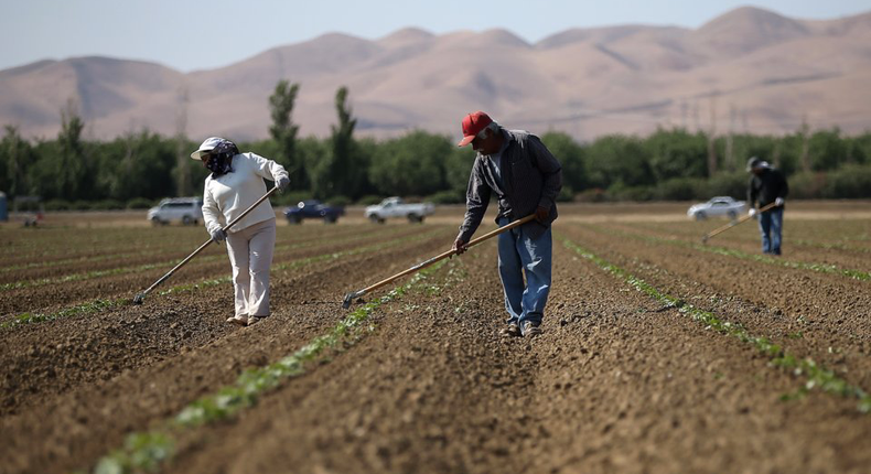 37 jobs that are great for people who love the outdoors | Business ...