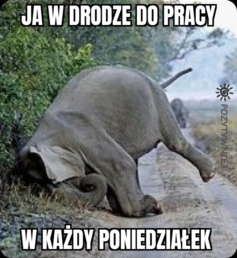 Najlepsze memy o pracy w korporacji. Popłaczecie się ze śmiechu - Kobieta