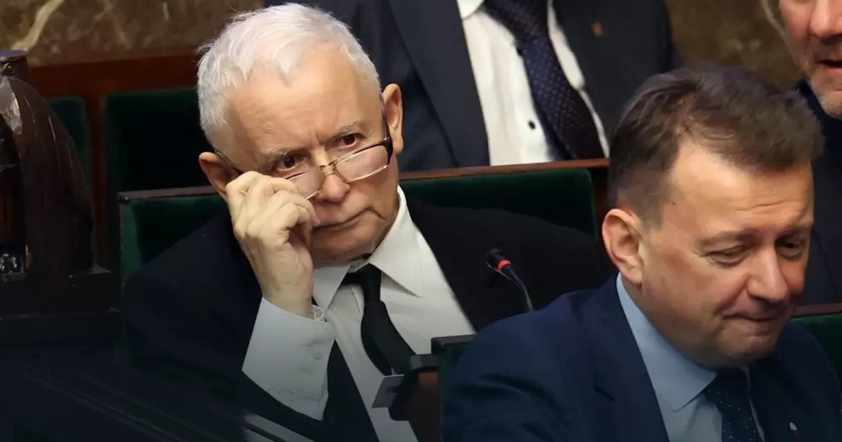 Andrzej Stankiewicz: 800 plus to nie jest koniec. To początek - Wiadomości