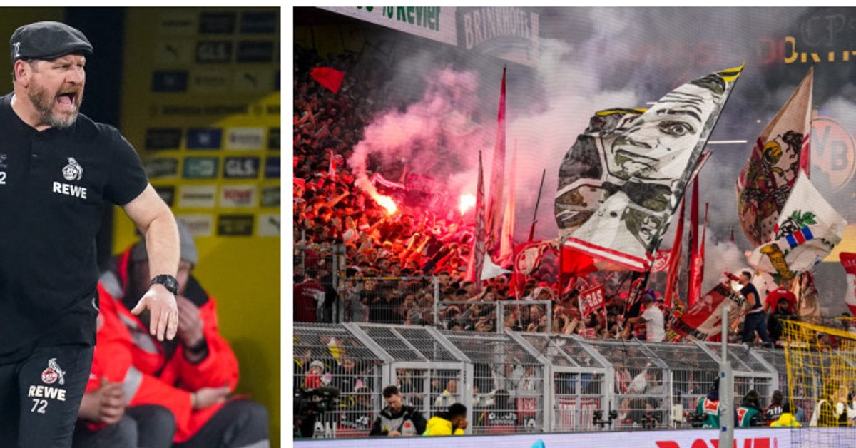 Operator kamery na meczu raniony przez kibiców. Trener wpadł w szał - Sport