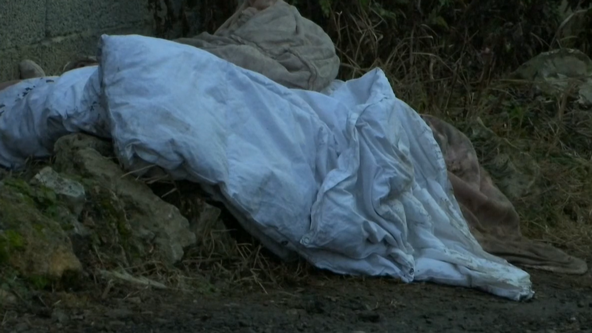 Jezive slike sa mesta požara staračkom domu u Barajevu: Ugljenisana posteljina kraj puta - Blic