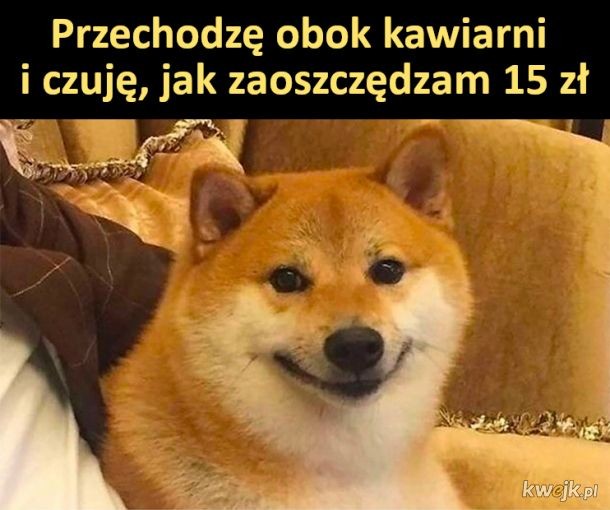 Najlepsze memy o kawie na Dzień Kawy. Spróbuj się nie zaśmiać - Kobieta