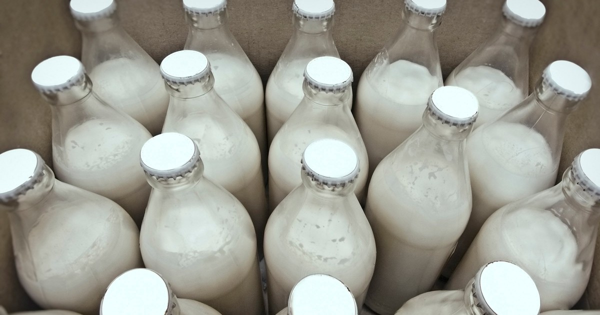 5 signs your carton of milk has gone bad, according to a food safety ...
