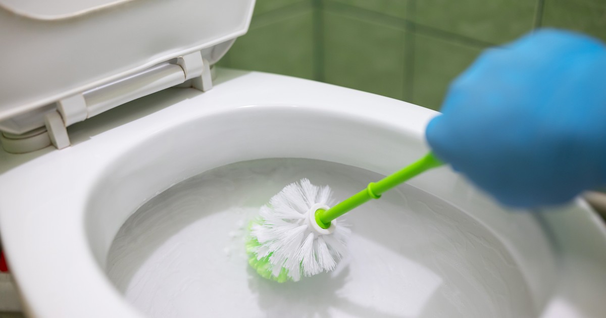 A szakértő kikotyogta: ilyen gyakran kell tisztítani a WC-kefét - Kiskegyed
