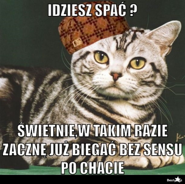 Zobacz najlepsze memy o kotach. Samo życie - Kobieta