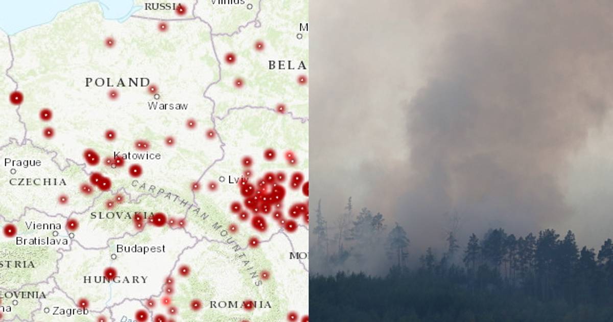 Mapa pożarów na świecie. Jak działa Global Forest Watch Fires - Noizz