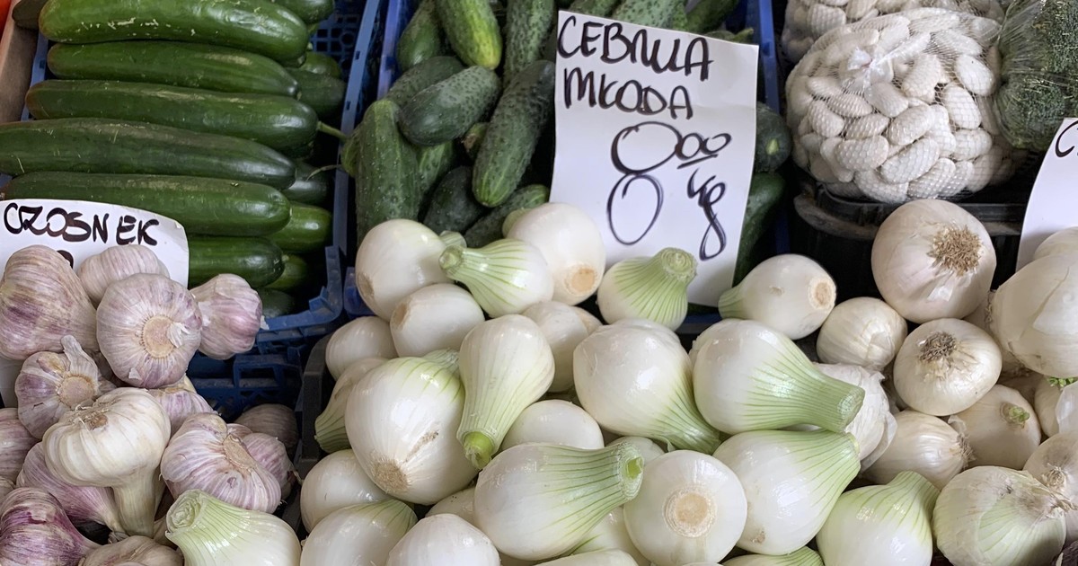 Polska cebula jest najdroższa! A prognozy są jeszcze gorsze
