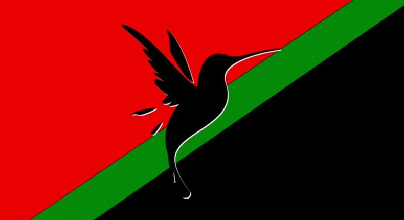 La Martinique a un nouveau drapeau, voici sa signification | Pulse Côte ...