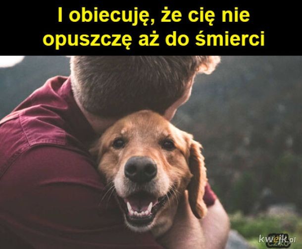 Memy na Dzień Psa. Wybraliśmy najlepsze! - Kobieta