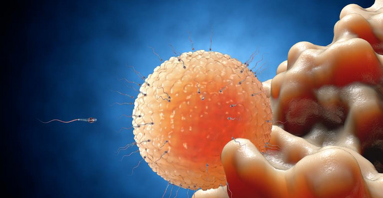 Owulacja - jak długo trwa? Objawy owulacji