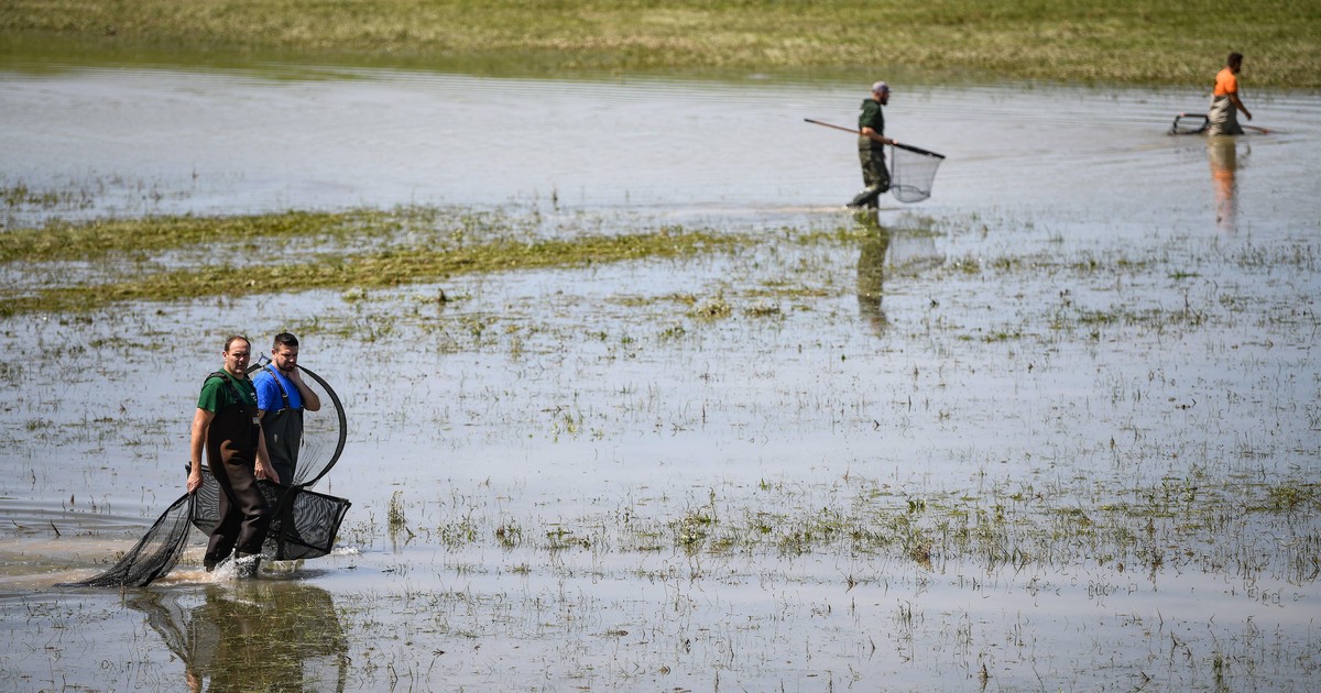 Nie tamujmy rzek, niech płyną. "Ściągamy na siebie katastrofę" - Kobieta