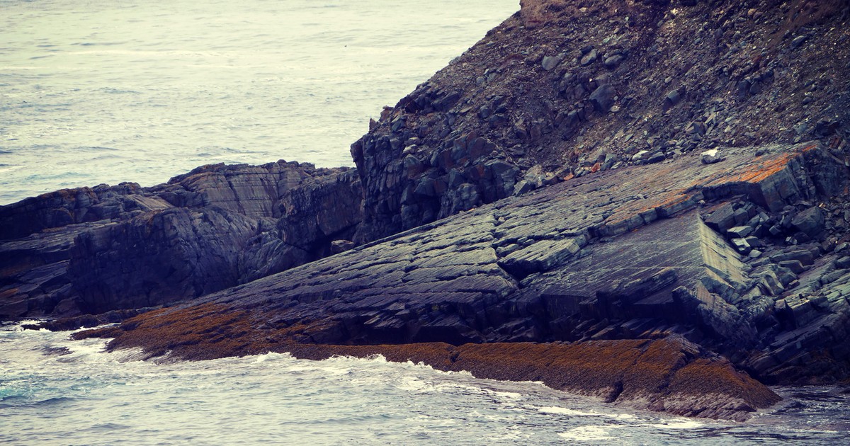 Mistaken Point – historia, informacje, ciekawostki, co warto wiedzieć ...