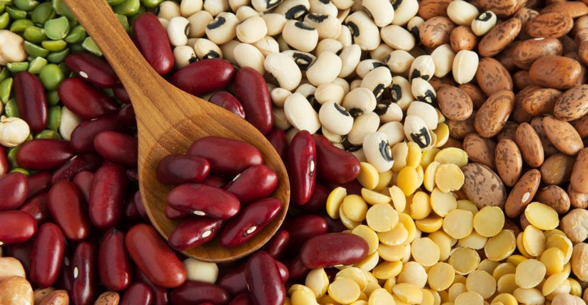 Fasola - właściwości. Jak gotować fasolę?