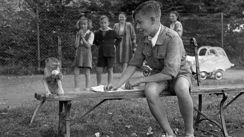 Nie żyje Ryszard Żabiński. Jego rodzice ukrywali Żydów w warszawskim ...