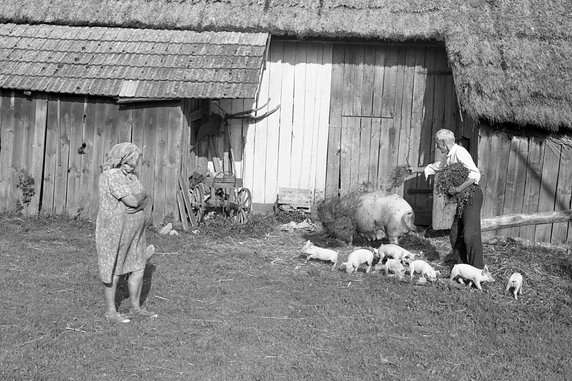 Praca na wsi i miastach w PRL-u. Na tych zdjęciach zatrzymał się czas ...