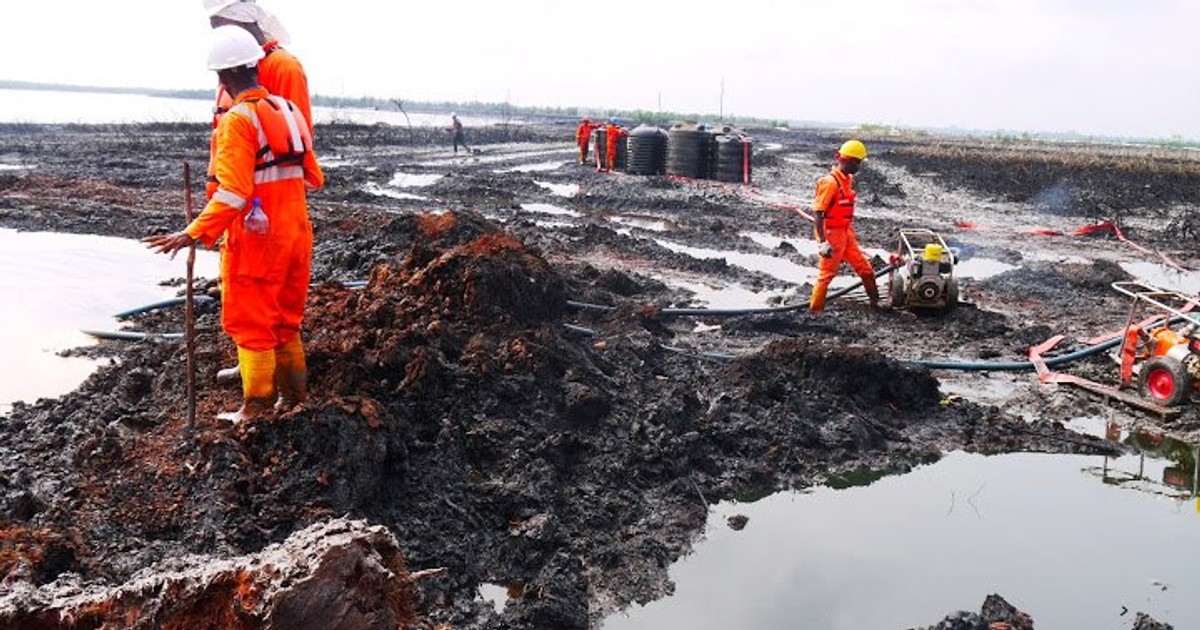 Shell may lose operatorship of OML 11 in Nigeria | Pulse Nigeria