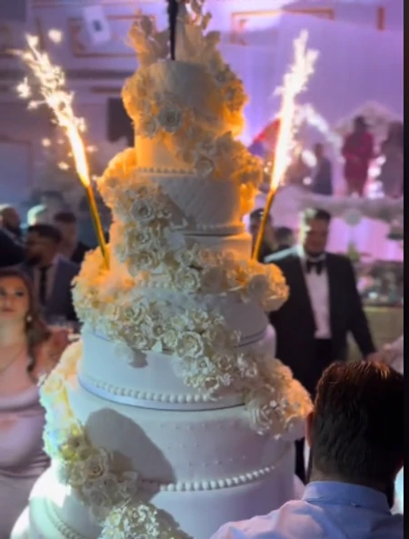 Romska svadba u Beču od milion evra: Više od 1.000 ljudi, bajkovita ...