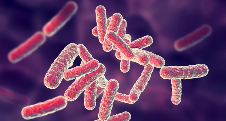 Tyfus, czyli dur brzuszny. Jak można zapobiegać durowi brzusznemu?