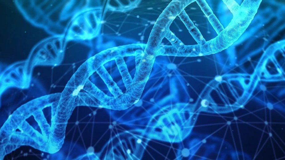 We wrześniu wystartuje projekt "Biodiversity Genomics Europe" - Informacje