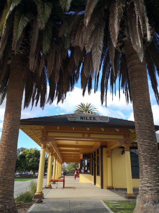 Hollywood epoki filmu niemego. Historia miasta Niles - Styl życia