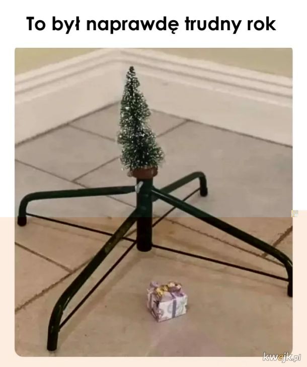 Najlepsze memy o choinkach. Te z kotami rozbawią was do łez - Kobieta