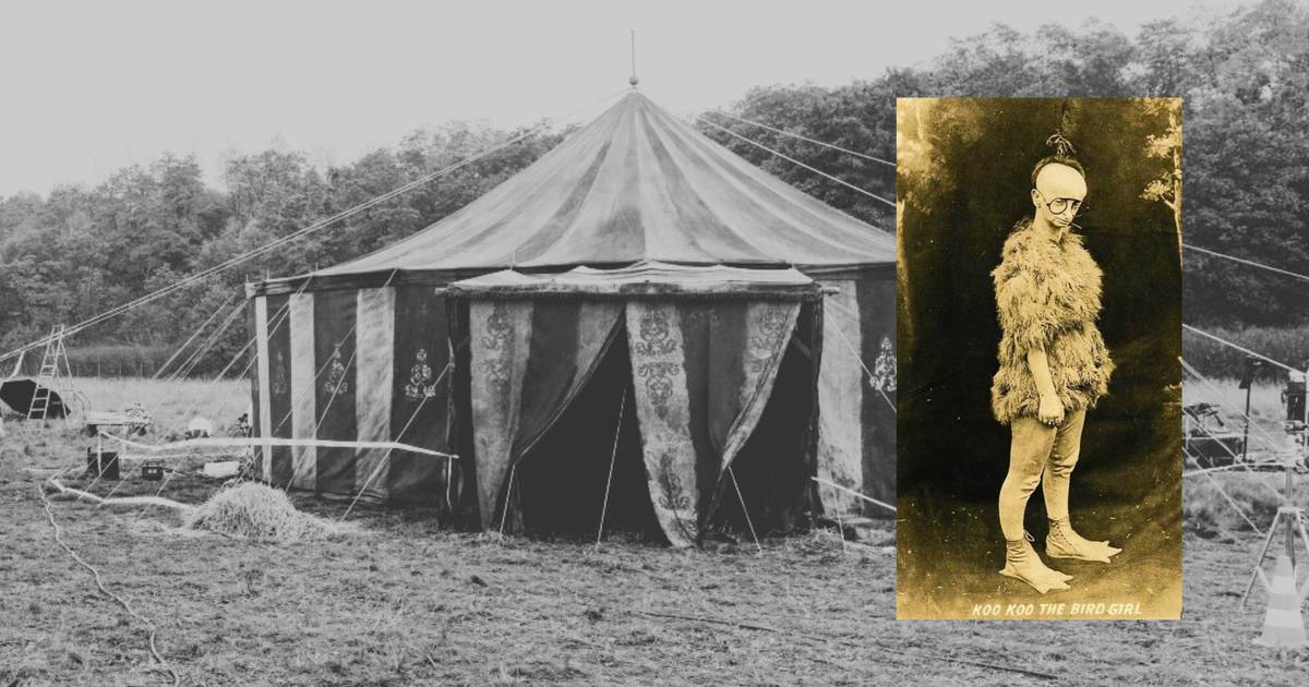 Zawód: Dziewczyna Ptak. Z cyrku trafiła do prawdziwego horroru - Noizz