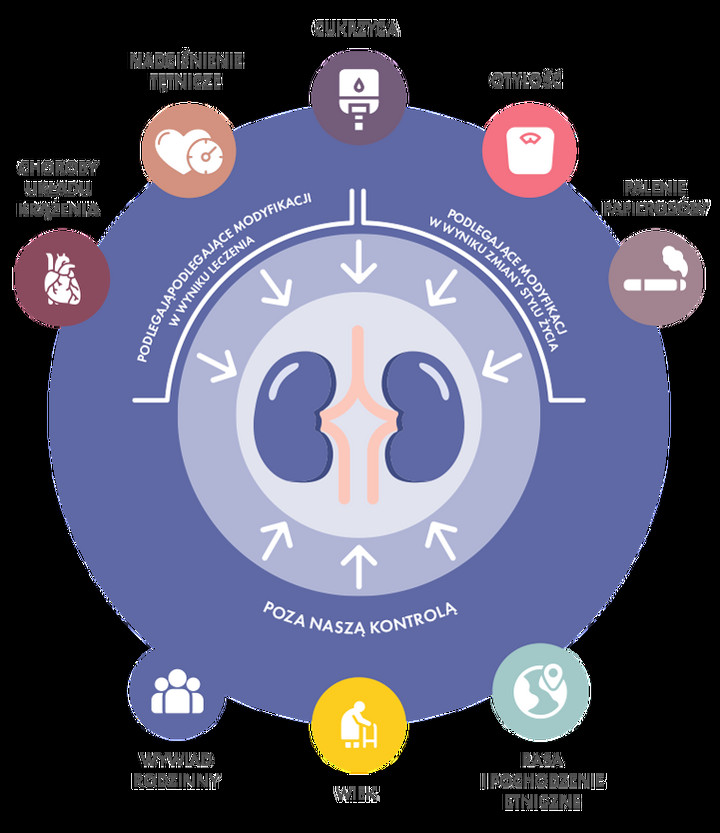 Objawy przewlekłej choroby nerek pojawiają się, gdy jest już za późno ...