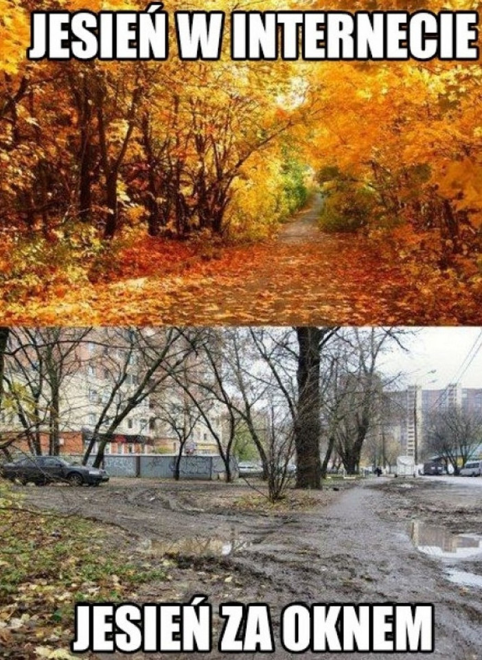 Listopadowa pogoda nie rozpieszcza. Oto najlepsze memy o jesieni - Kobieta