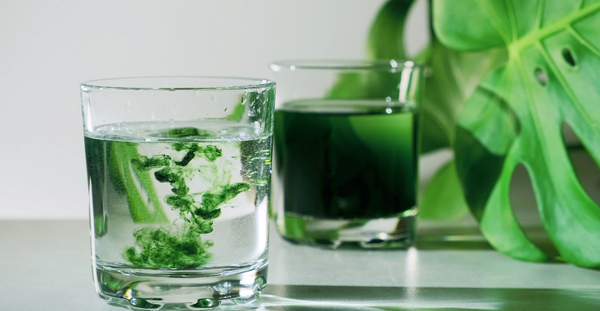 Chlorofil do picia odtruwa i wspomaga odchudzanie. Na co jeszcze pomaga ...