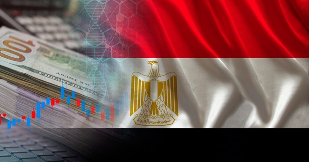 Egypt plans to sell stakes in military-owned companies | Business ...