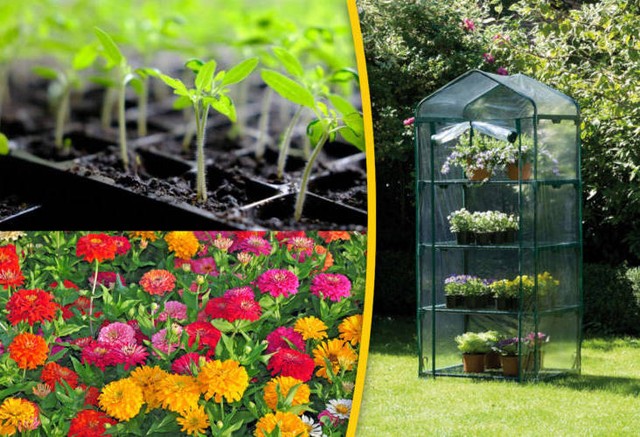 Svaka kuća može imati mini staklenik i proizvoditi hranu!