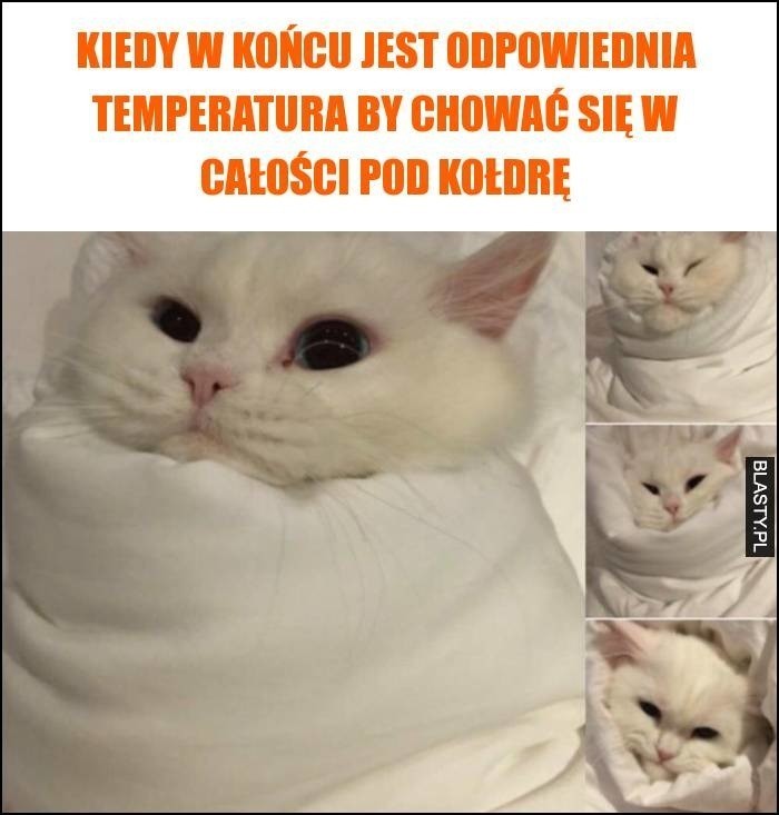 Zimno? Pora na rozgrzewającą dawkę śmiechu. Najlepsze memy o mrozie ...