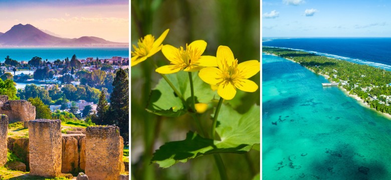 Ciekawostki - Wiadomości