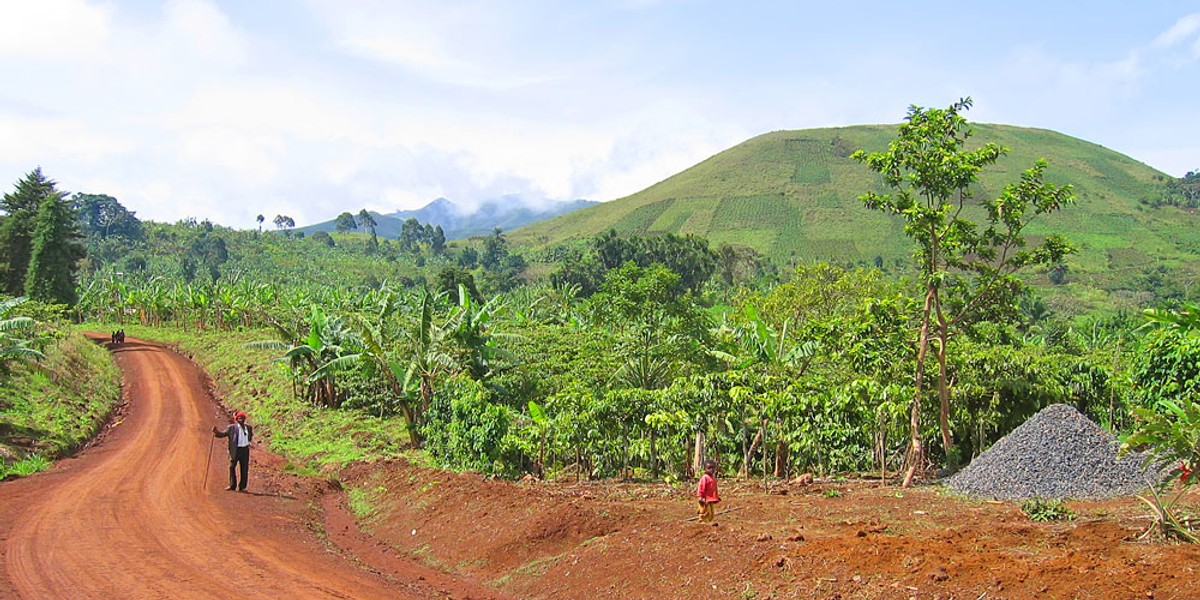 Kamerun - Podstawowe informacje - Podróże