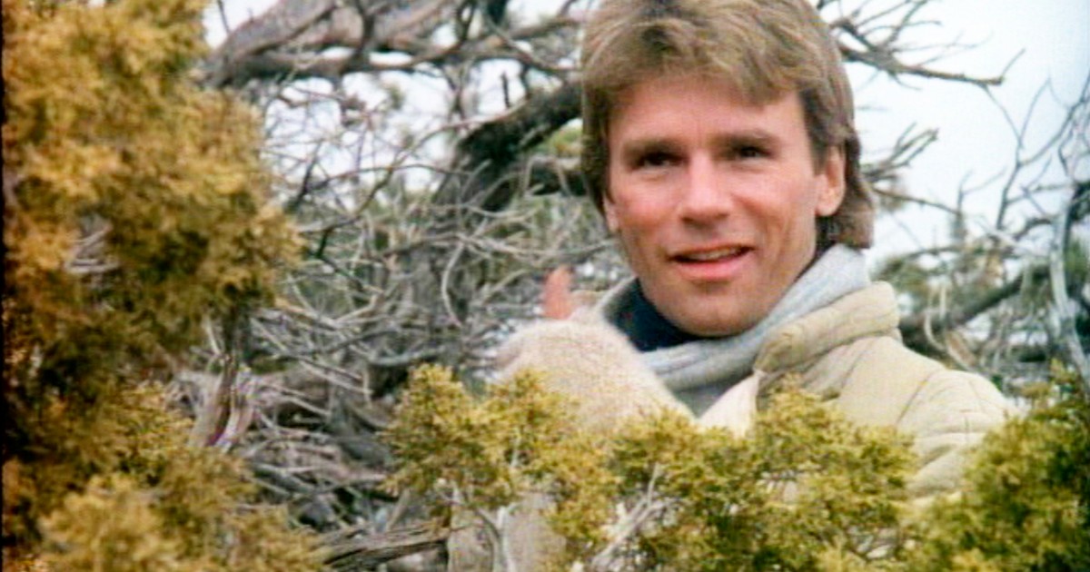 Falták a nők, mégsem nősült meg soha: így néz ki most 74 évesen Richard ...