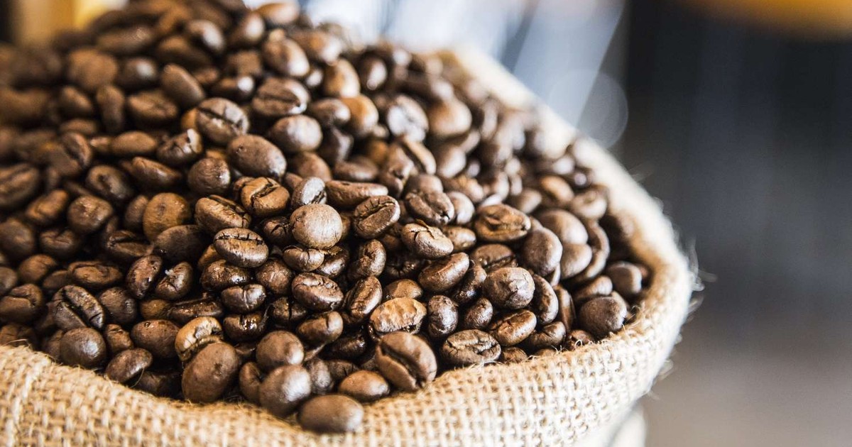 Ethiopia's Coffee Exports Hit $1.43 Billion in 2023/24 | Business ...