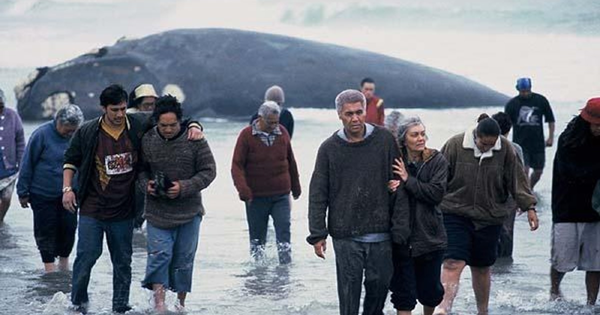 Vicky Haughton - kadry z filmów - Film