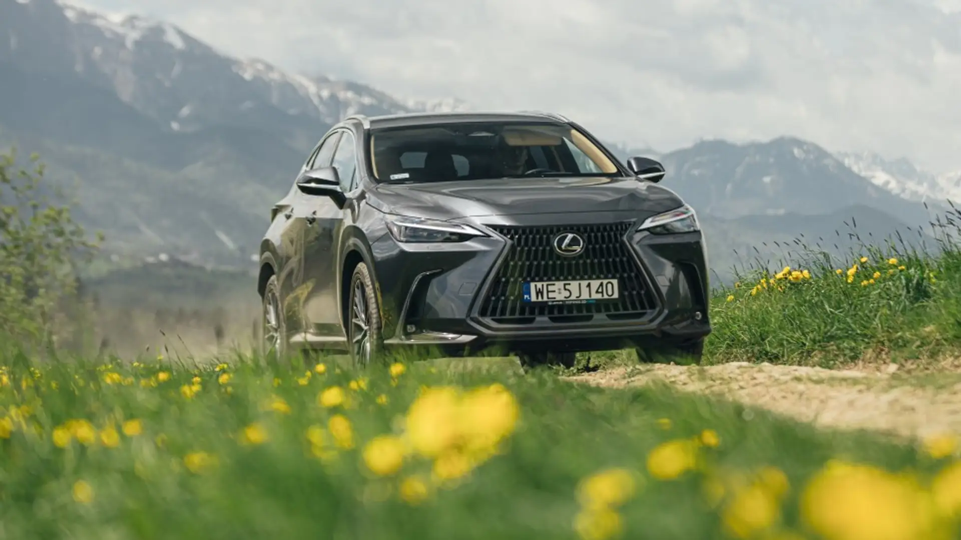 Lexus to nie tylko SUV NX. Oto najpopularniejsze modele w Polsce - Auto ...