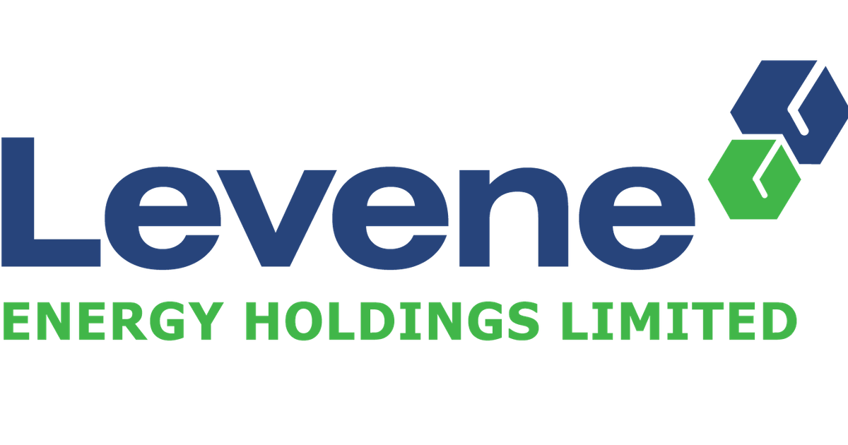 Energy Mix: How Levene Energy Holdings’ choices impact future ...
