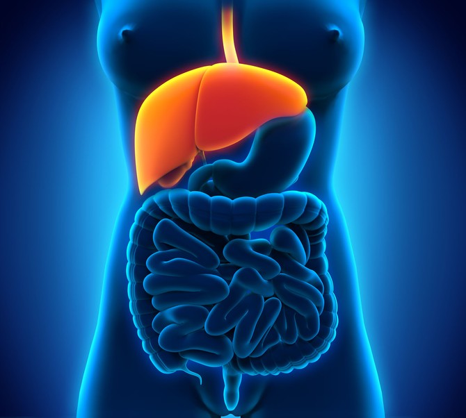 Masna jetra je jedna od najčešćih bolesti današnjice koja RAZARA JETRU ...