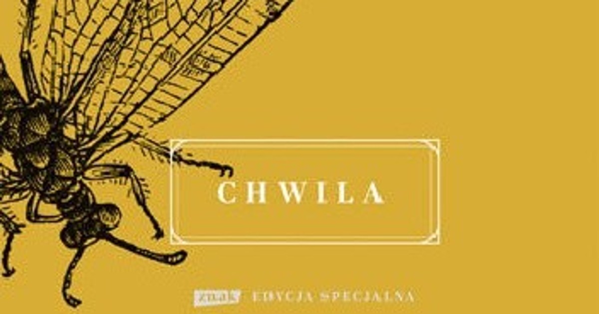 "Chwila" Wisławy Szymborskiej. Recenzja Joanny Grądziel-Wójcik ...